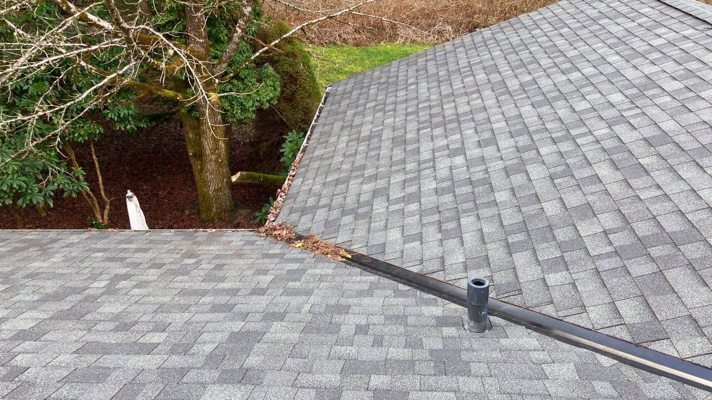 Seattle Fall Roof Cleaning: Prepare Your Roof for the Fall | Valentine ...