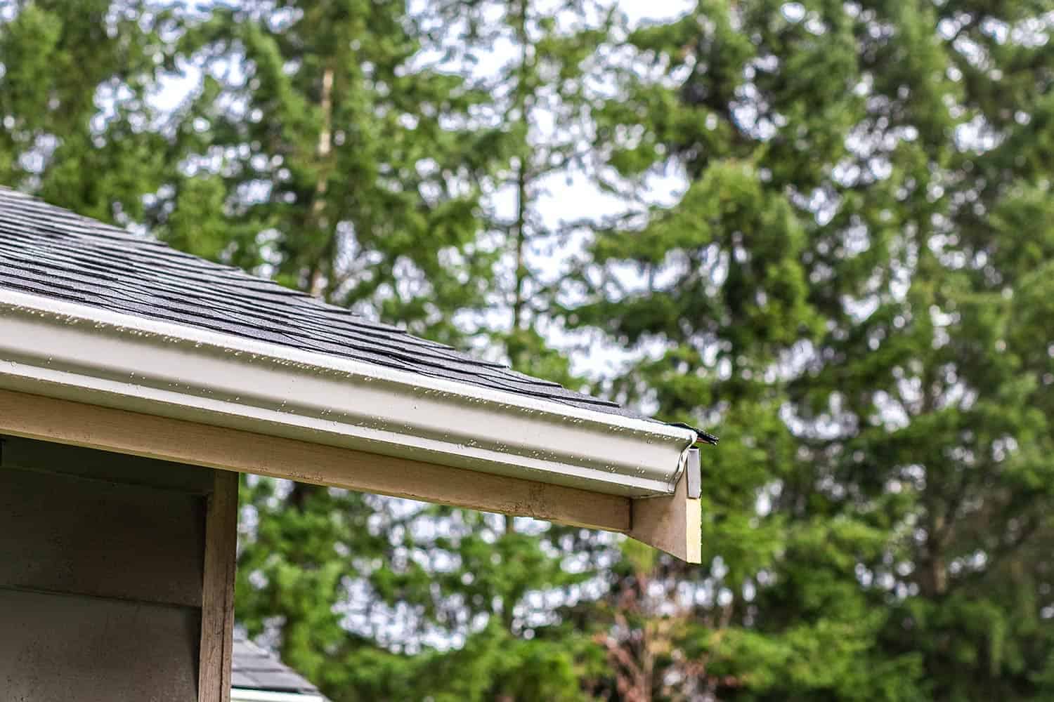 Seattle, Washington Replacement Gutters Photo Gallery | Valentine Roofing